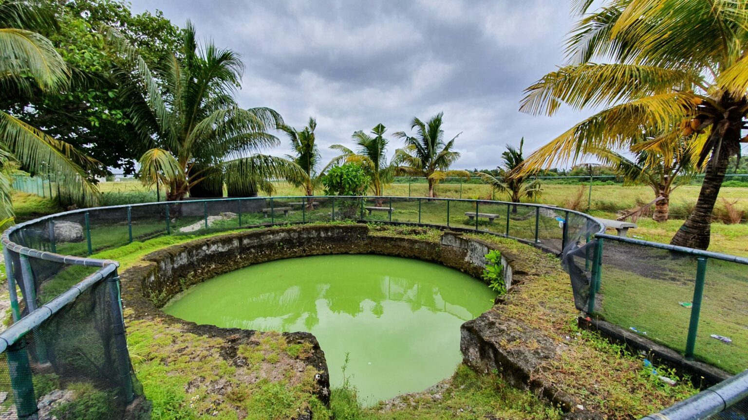 The Ultimate Travel Guide to Fuvahmulah: The Shark Island