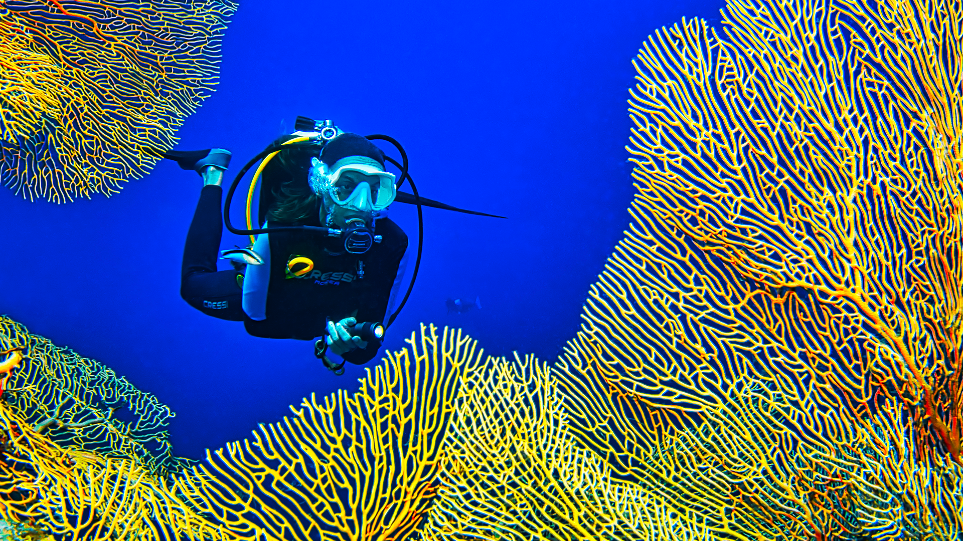 Maldives Bucket List: 24 Things to do in Maldives